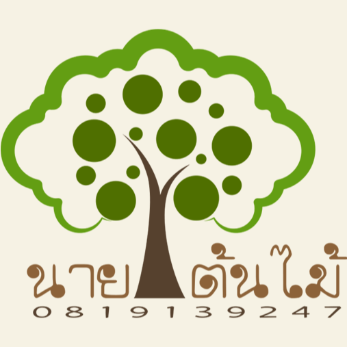 Mr.Tree ร้านค้าทางการในประเทศไทย ช้อปสะดวกปลอดภัย ที่ Lazada ตลอดเดือน ...